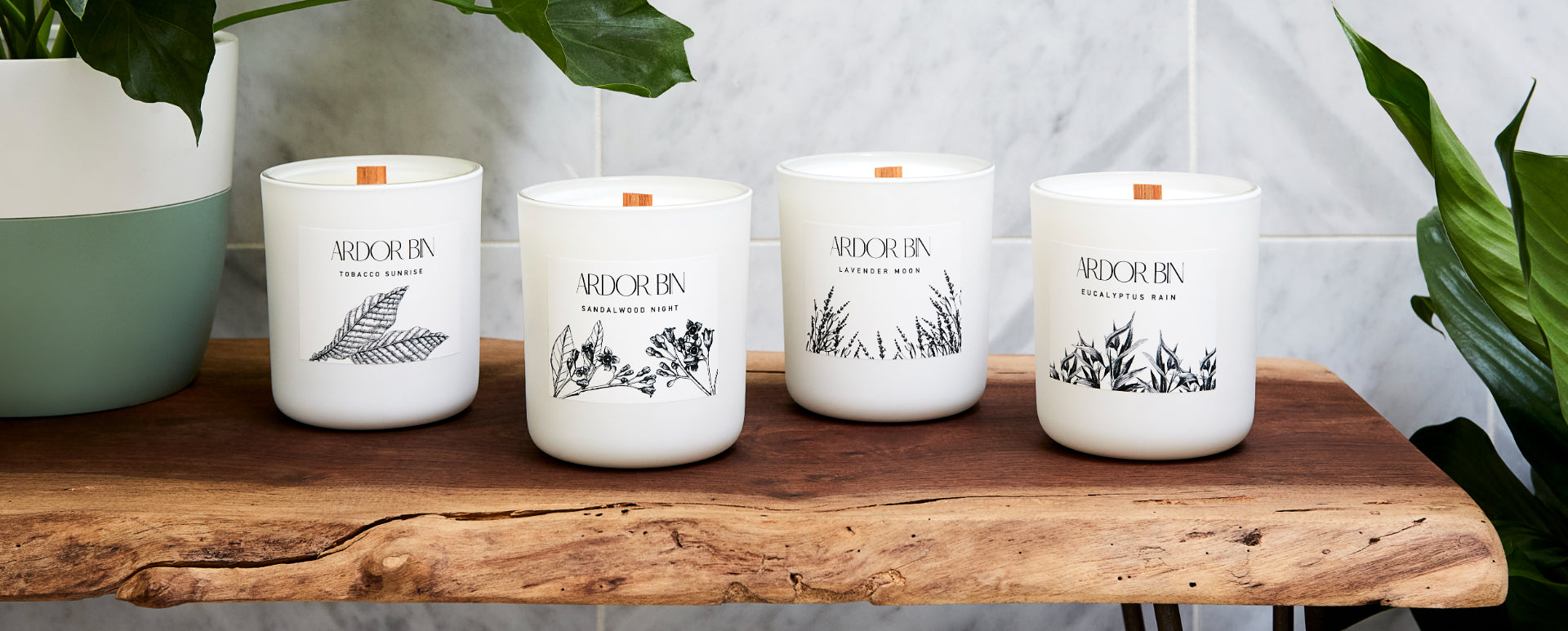 Signature Collection - Premium Scented Candles – Ardor Bin